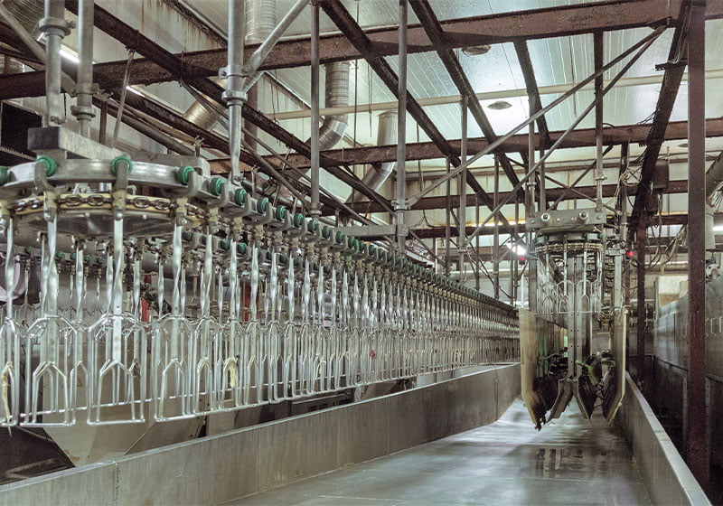 Slaughter Line Processing Equipment & Machinery | Cutting Edge